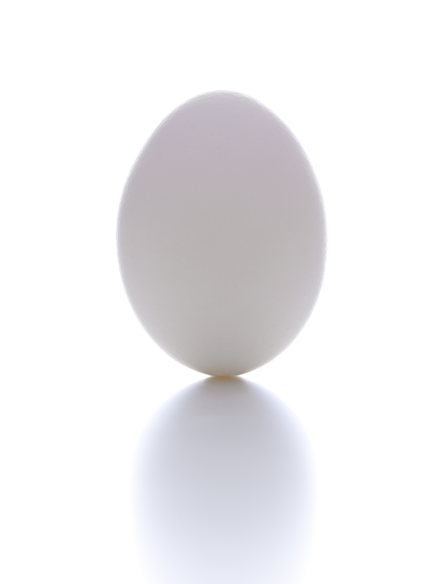Science Myth: Can You Balance an Egg on the Spring Equinox ...