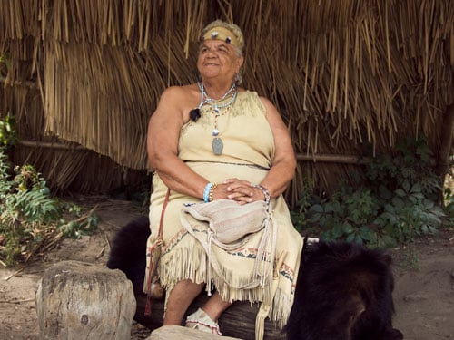 The First Thanksgiving: Virtual Field Trips, Videos, and Slideshow