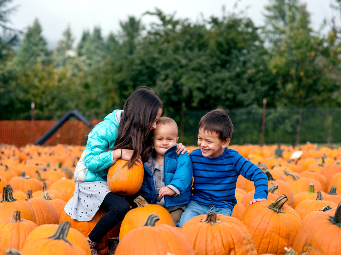 Picture Books to Read After Visiting the Pumpkin Patch