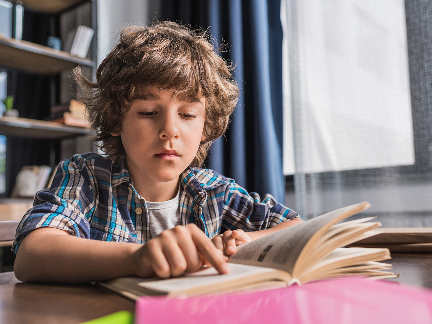 Books for Advanced Language Play