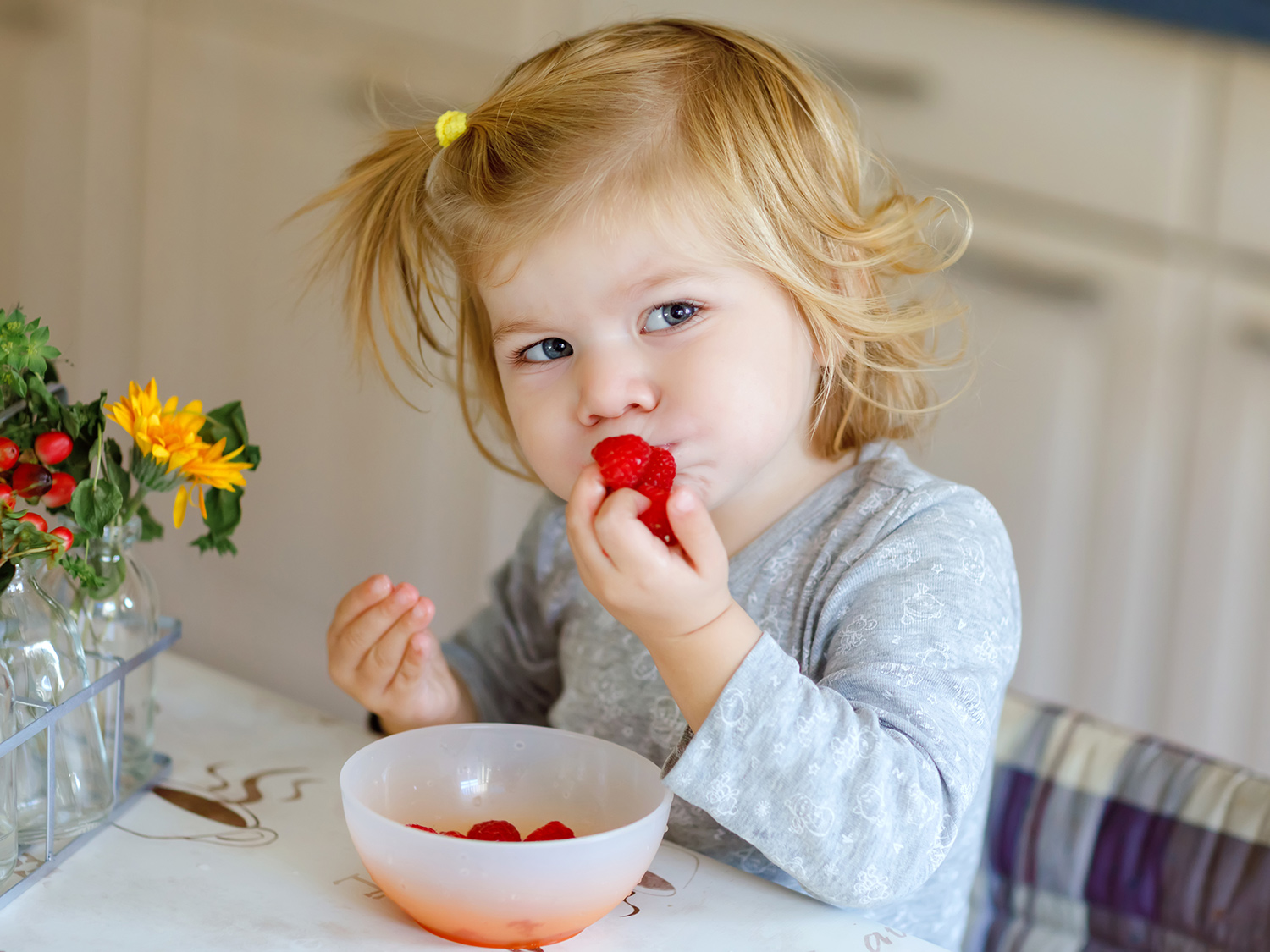 Color, Shape, and Size