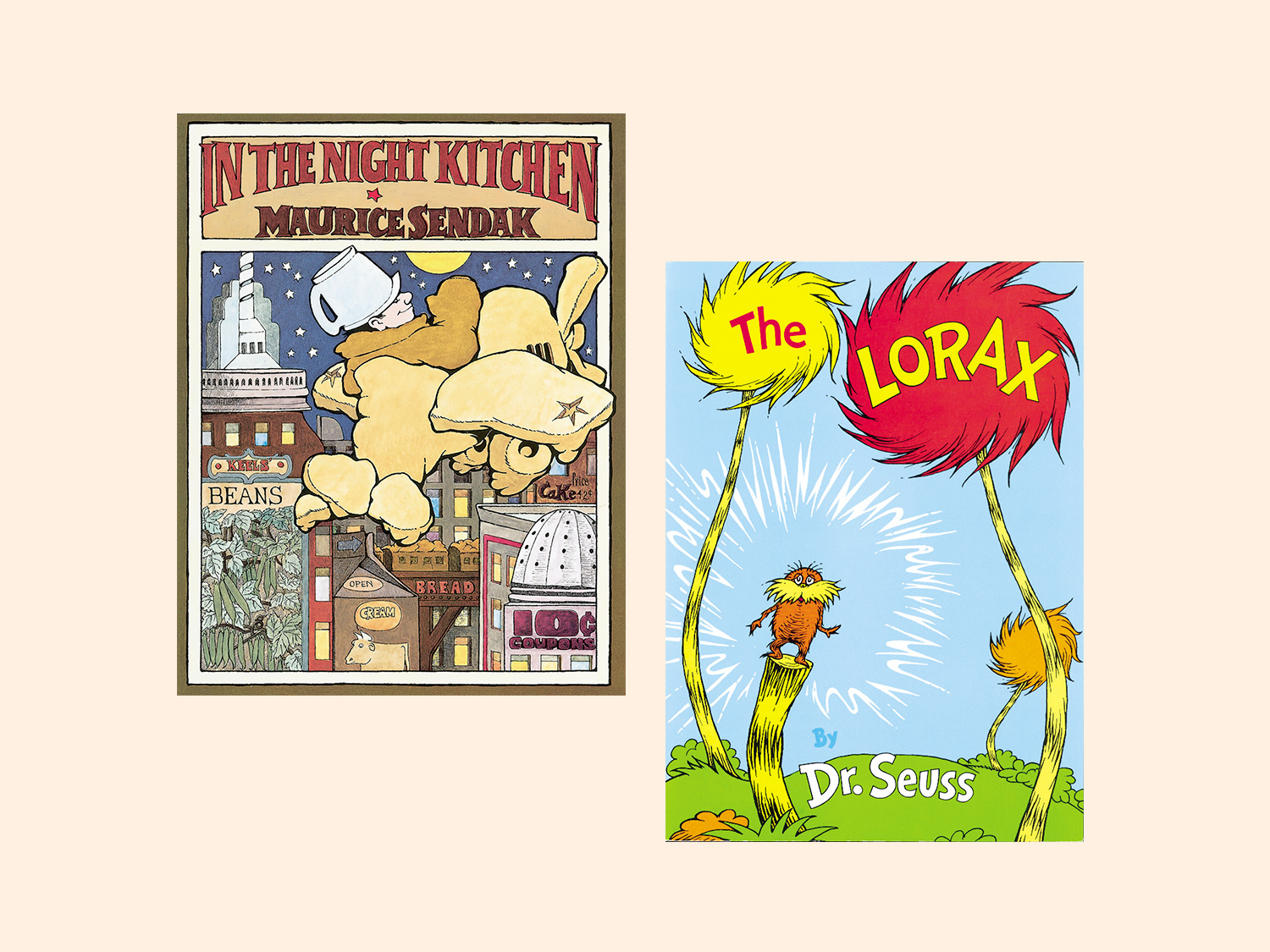 Challenged Picture Books