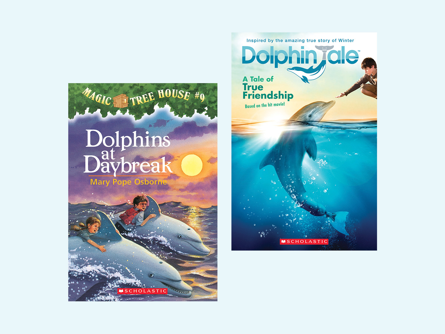 Dolphin Tales