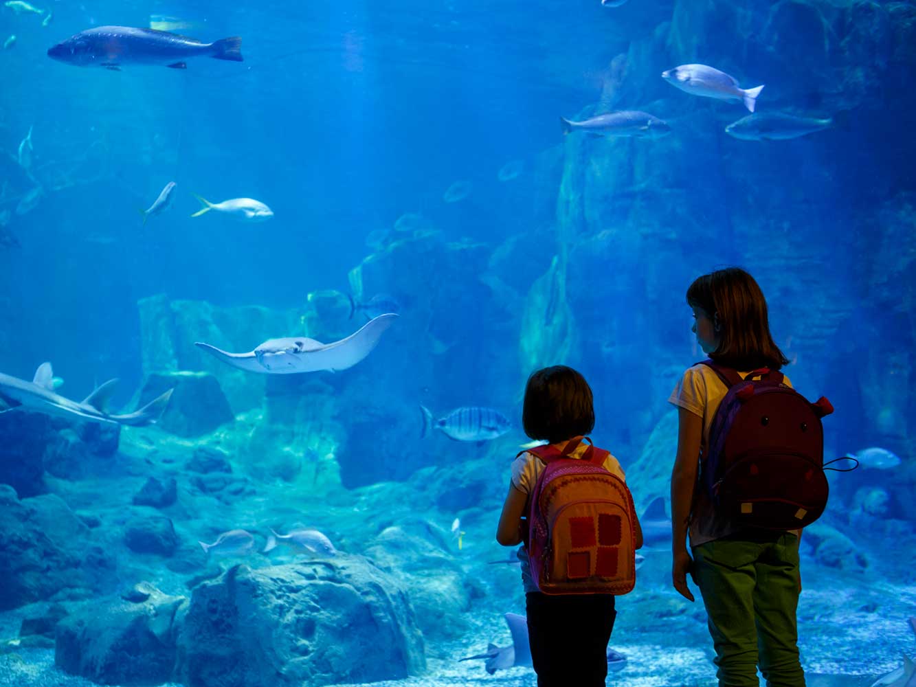 Bring Books to Life: Take a Reading Field Trip