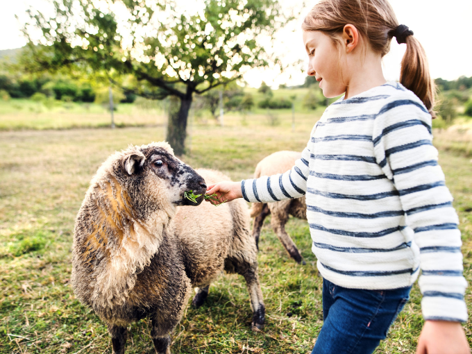 Kid-Friendly Animal Adventures