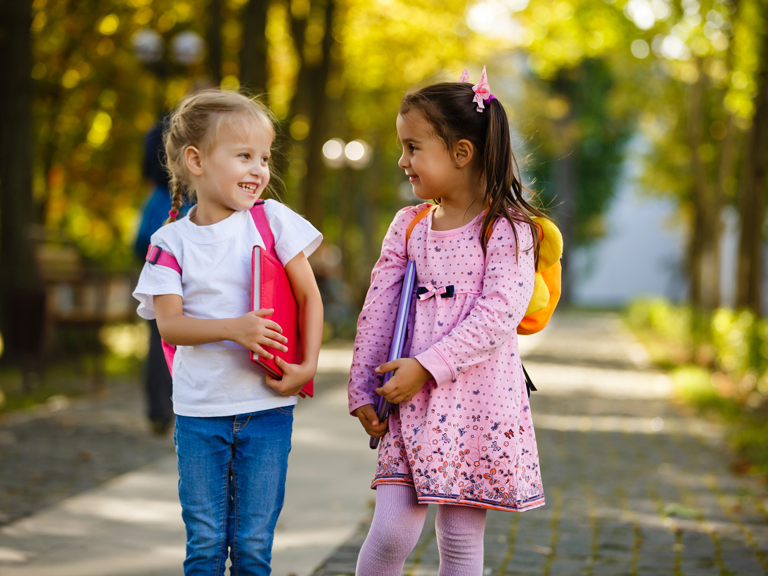 The Guide to 1st Grade