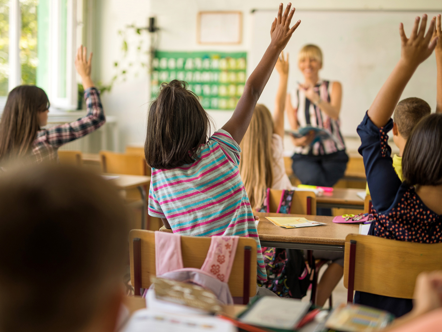 The Guide to 6th Grade: Reading and Writing