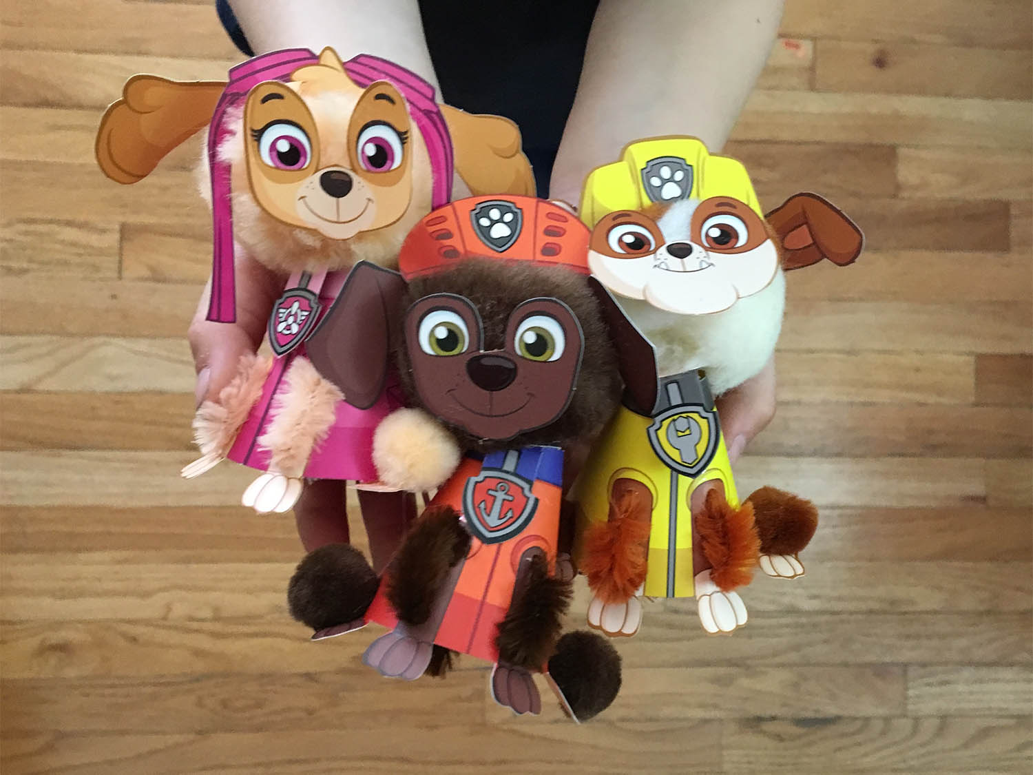 Make a Fun PAW Patrol Characters Craft!