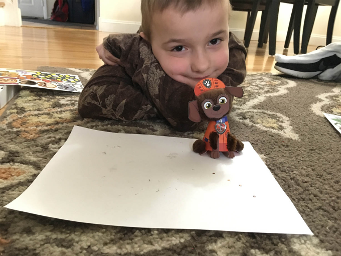 Make a Fun PAW Patrol Characters Craft!