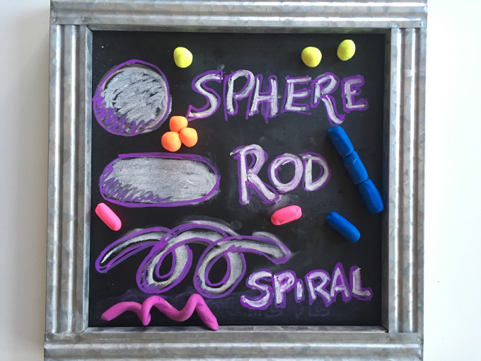 Germ Learning: Create a Microbe Zoo From Clay
