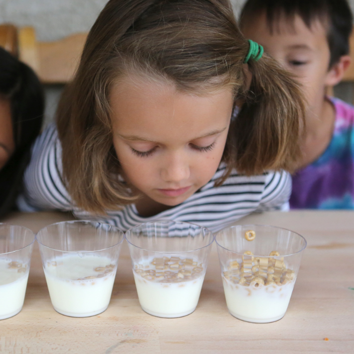 Serial Dilutions: Fun STEAM Activity for Kids