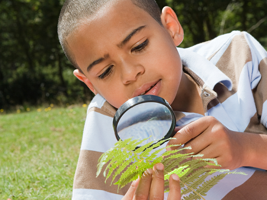 Learning Personalities Quiz 6-7: Scientist/Mathematician