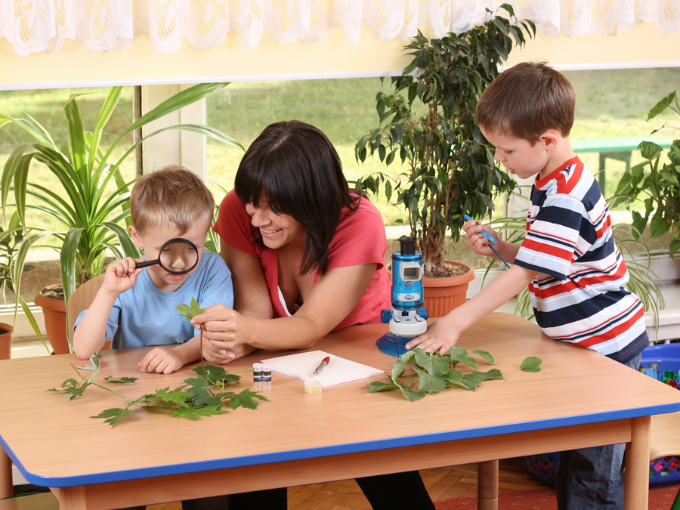 Science: Kindergarten