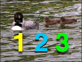 One, Two, Three, Count With Me!