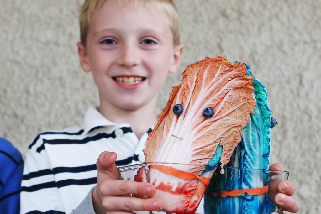 Vegetable Vampires: A Colorful Science Activity