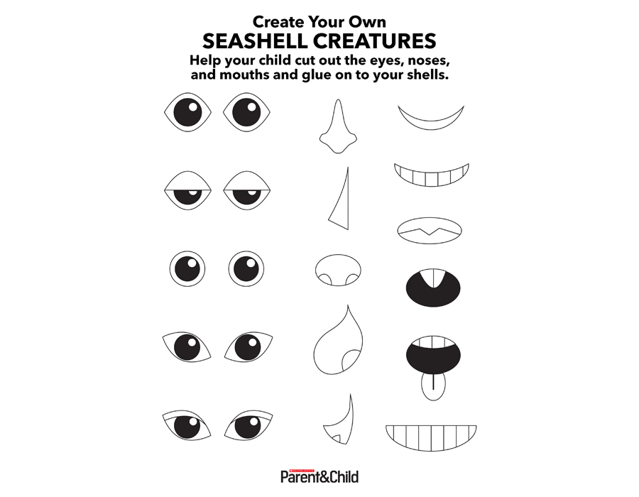 Sea Shell Creatures