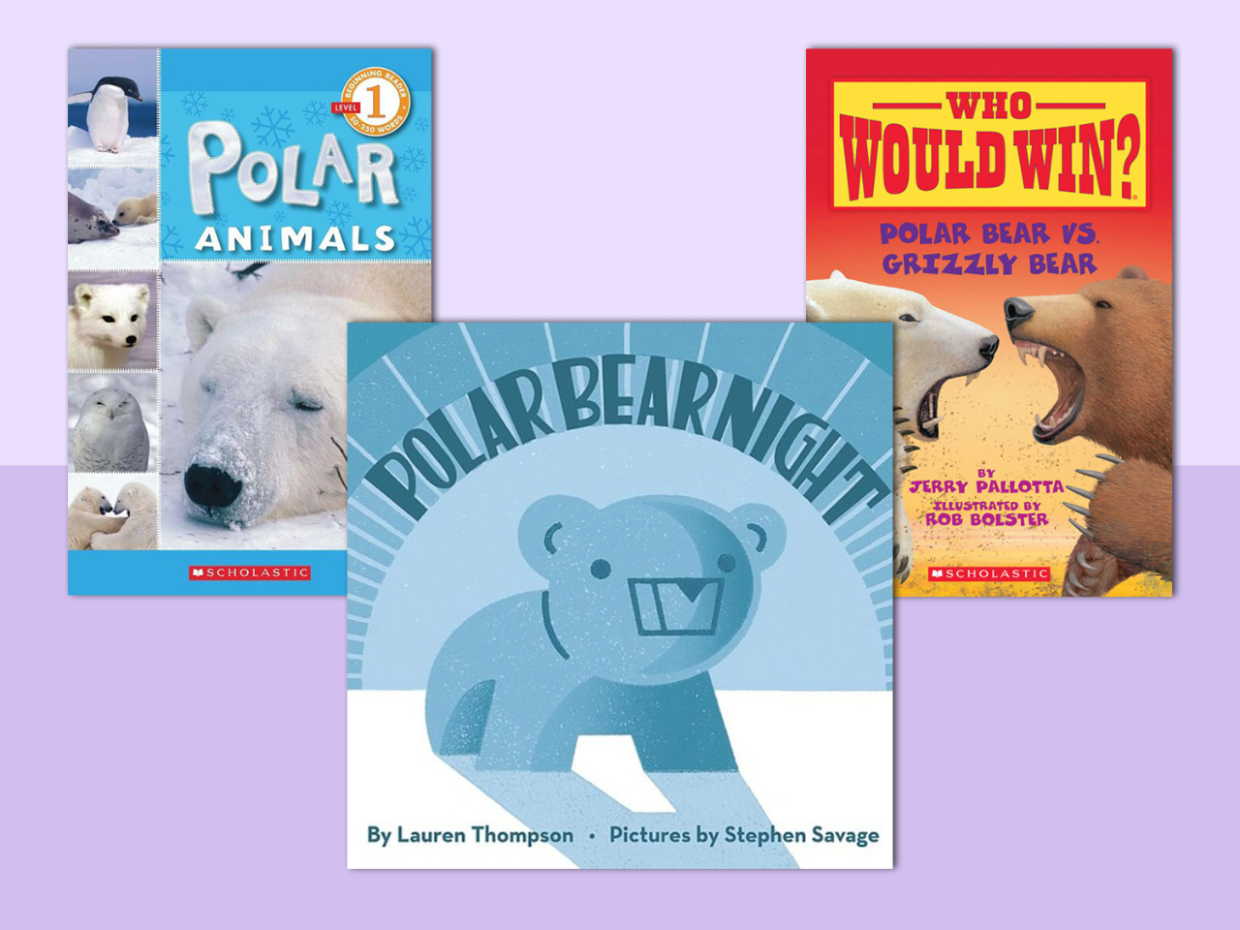 20+ Favorite Books About Penguins | Scholastic
