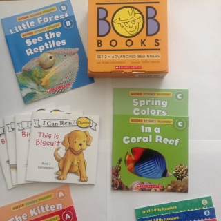 Support Your Guided Reading With Baggy Books | Scholastic
