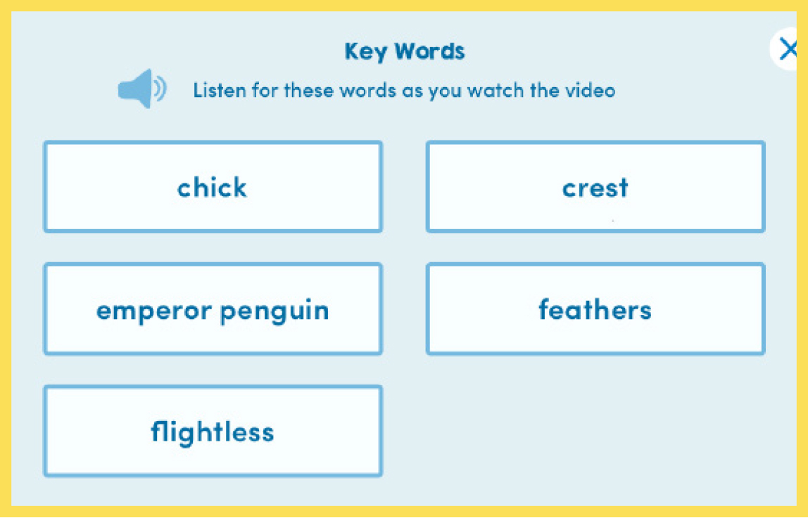 Scholastic Watch & Learn Library