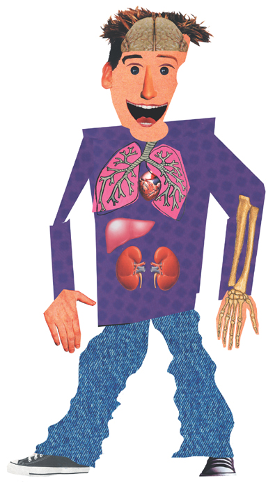 Real News About Drugs and Your Body