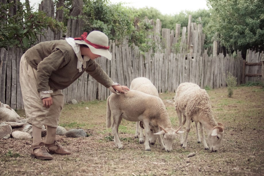 The First Thanksgiving Student Activities for Grades PreK-12 ...