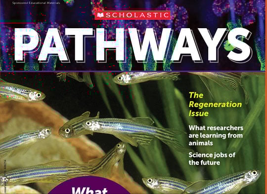 Pathways | Scholastic