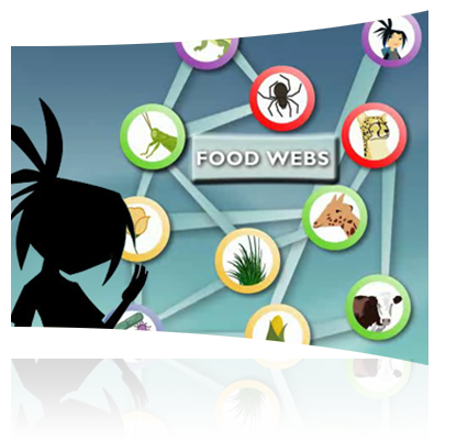 Food Webs: StudyJams! Science | Scholastic.com