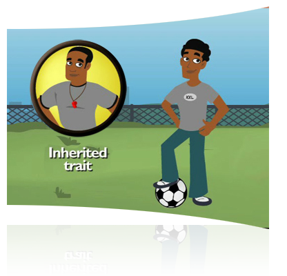 Heredity: StudyJams! Science | Scholastic.com