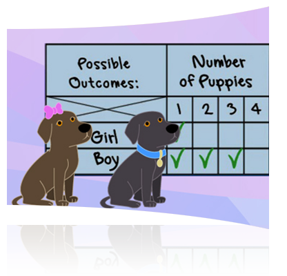 Scientific Inquiry: Outcomes and Predictions: StudyJams! Science ...
